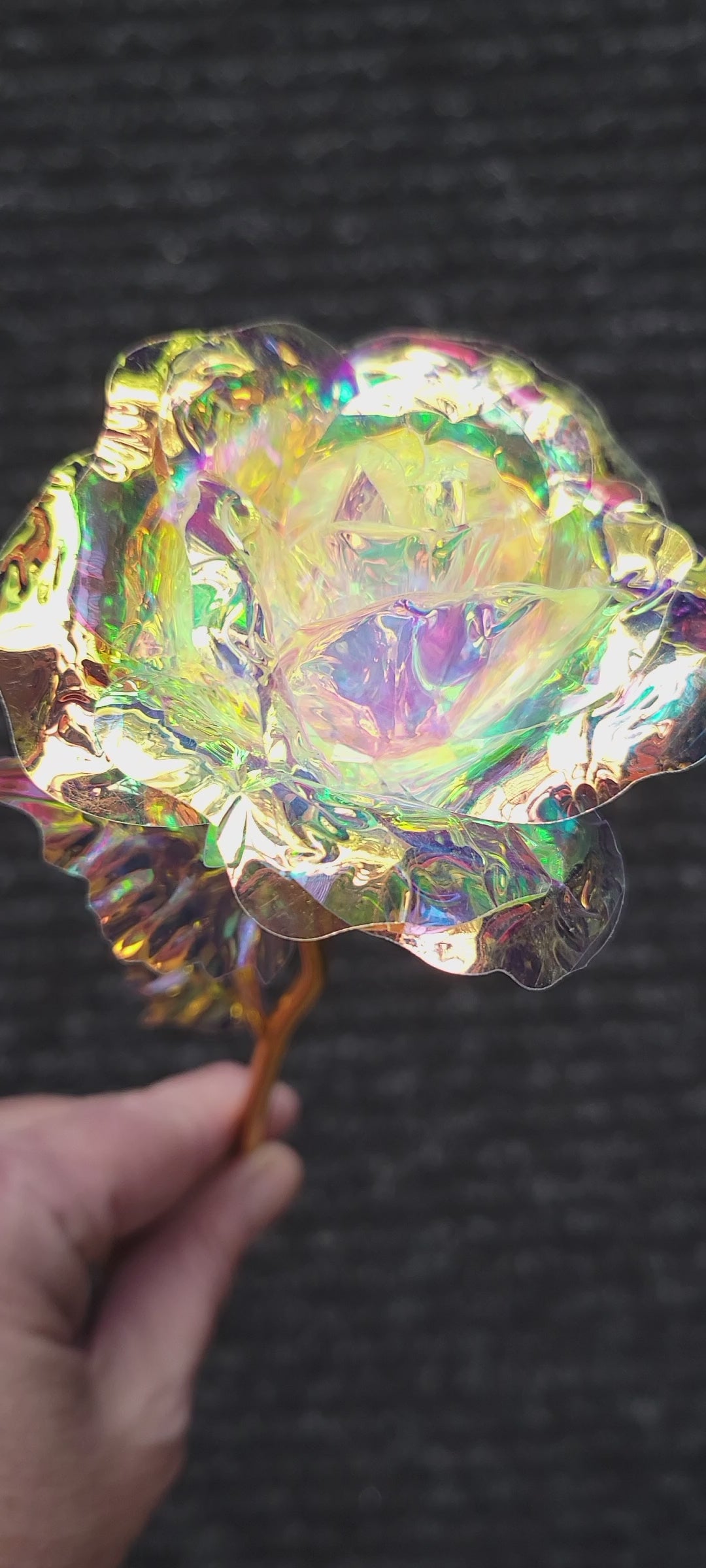 Luminous Forever Rose – The Cottage Boutique & Tearoom